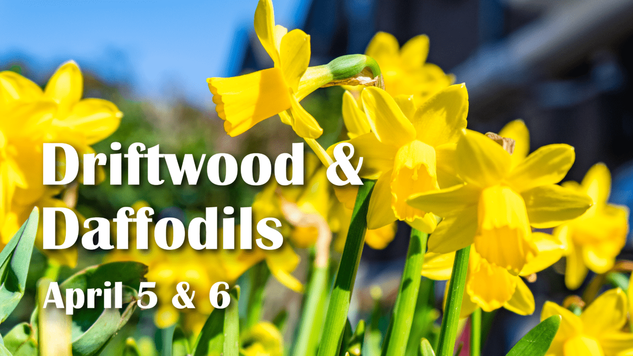 2024 Driftwood & Daffodils Show - Columbia Pacific Heritage Museum